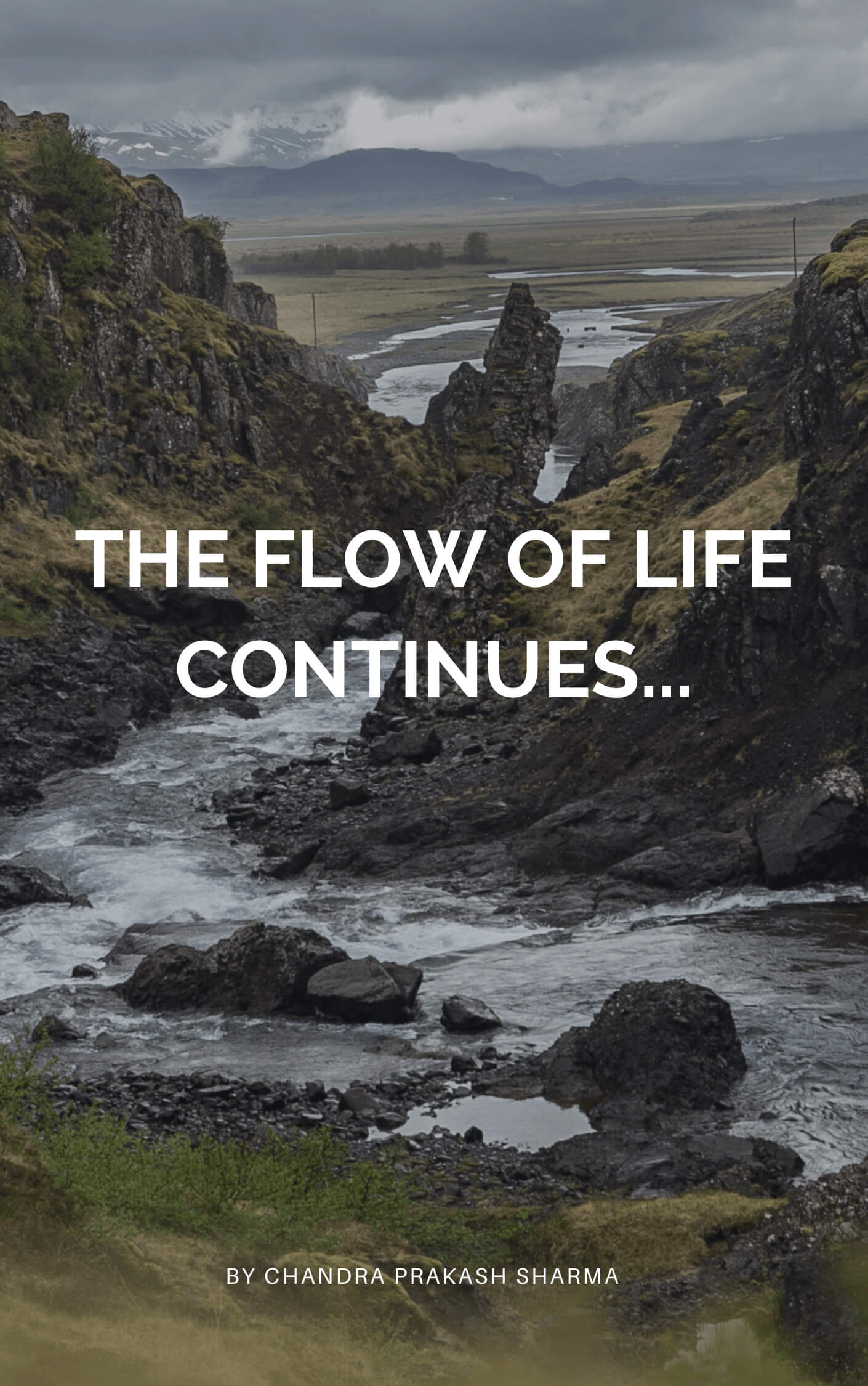 The flow of life continues...